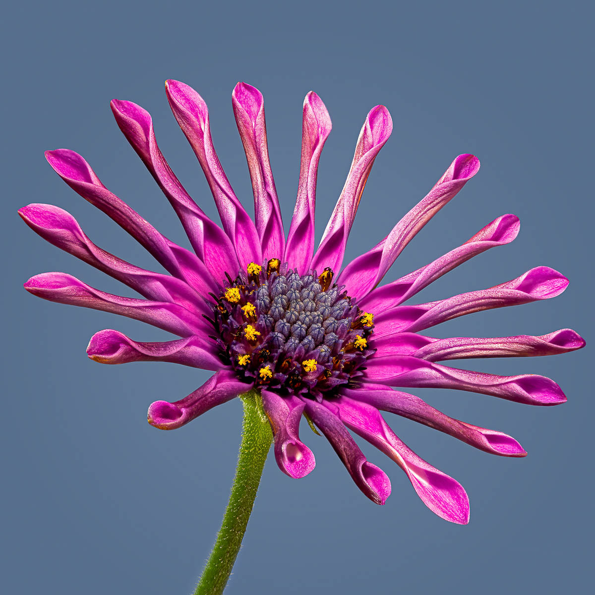 Tim Platt | design and advertising photographer | London UK | stills ...